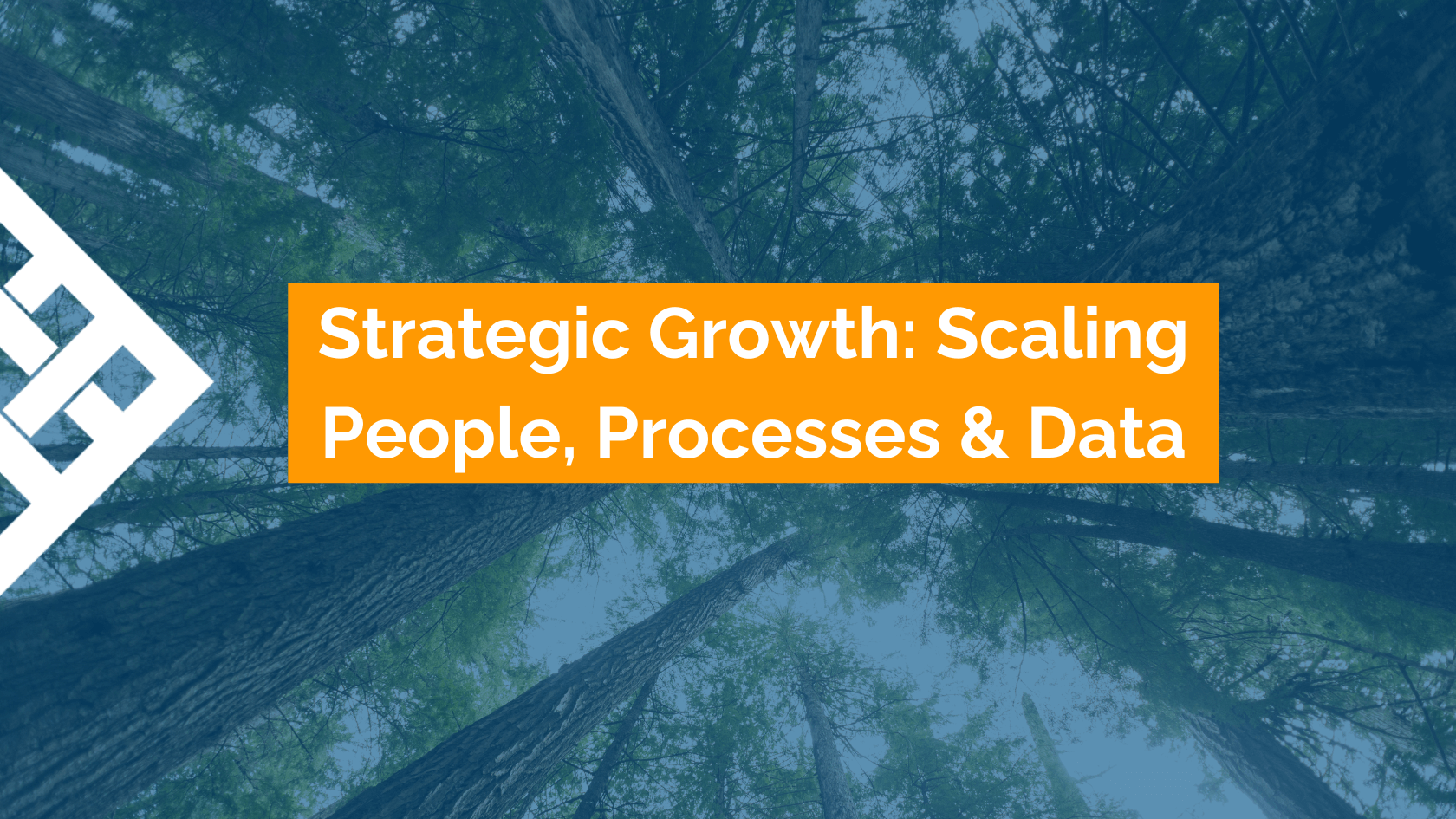 Scaling Companies: Keys to Strategic Growth
